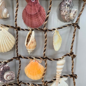 Seaside Driftwood Shell Hanger Decoration Nautical Coastal Decor - Etsy