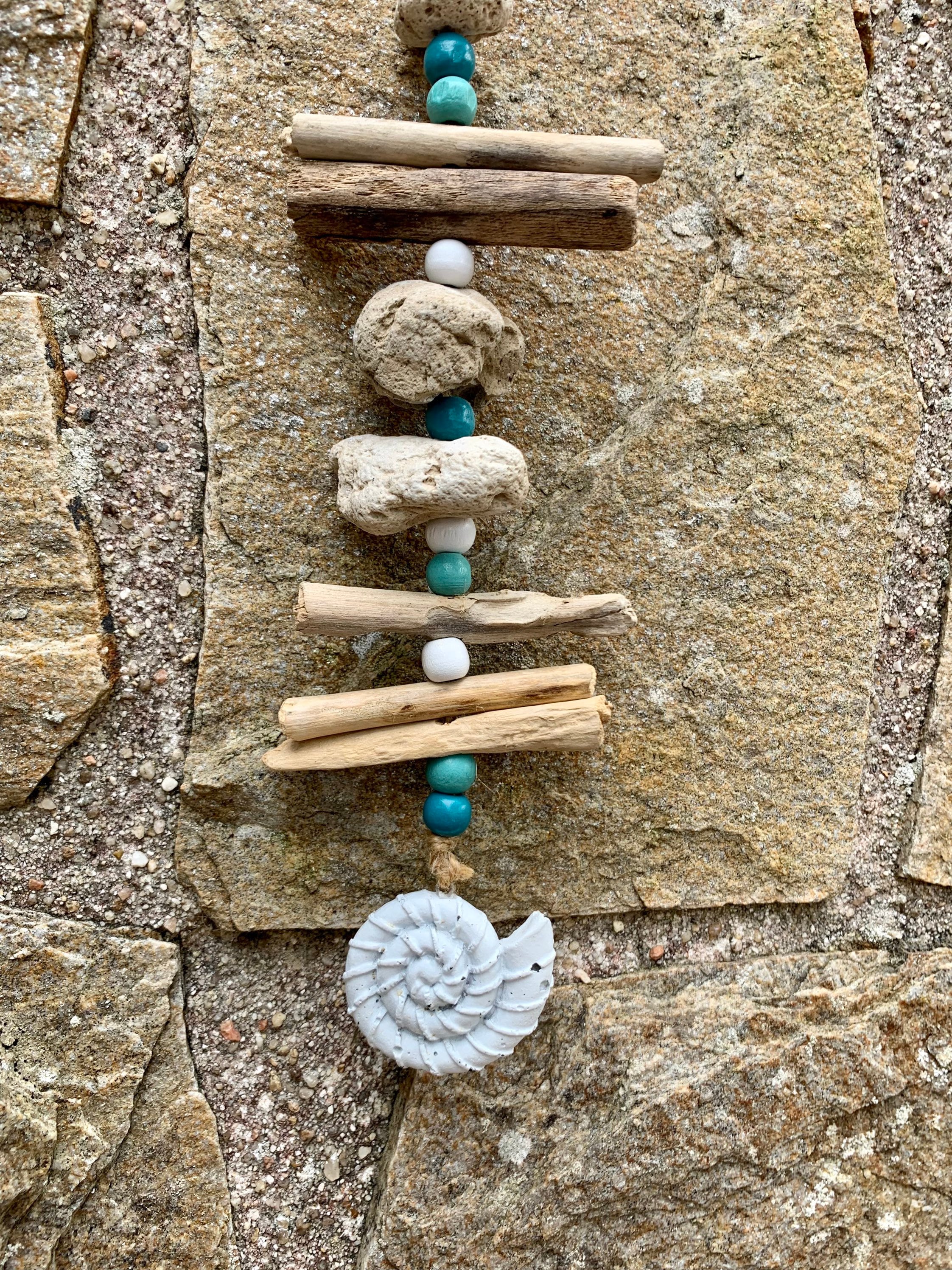 Driftwood Hanging Ammonite Spiral Sea Shell Hanger - Etsy