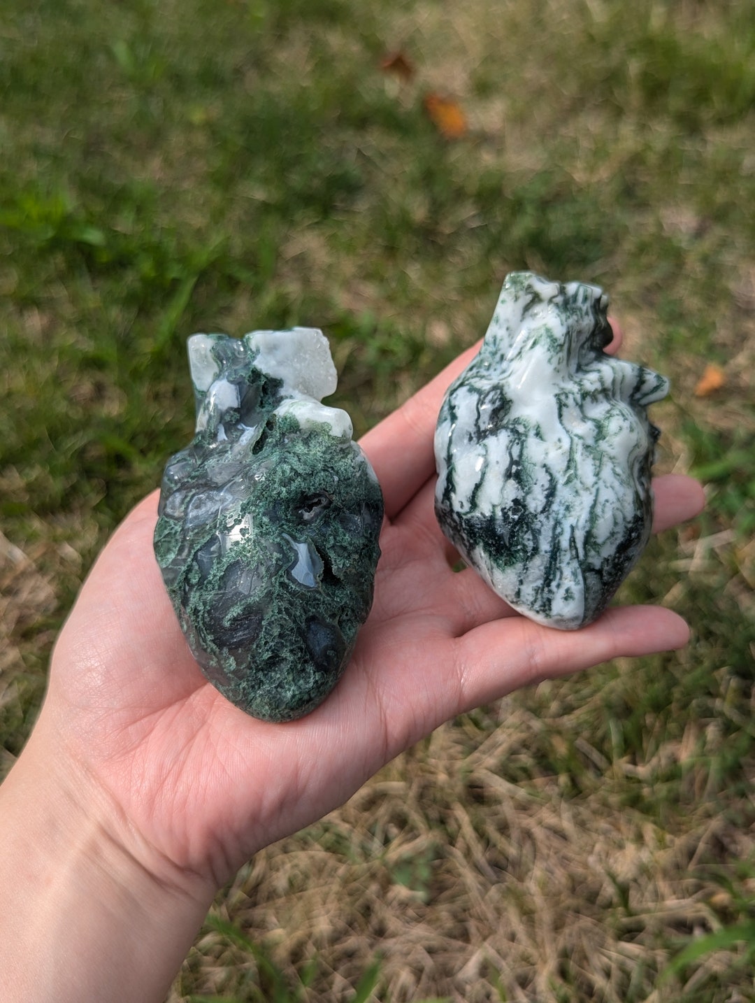 Moss Agate Anatomical Human Heart - 8 Cm Size Medical Carving - Etsy