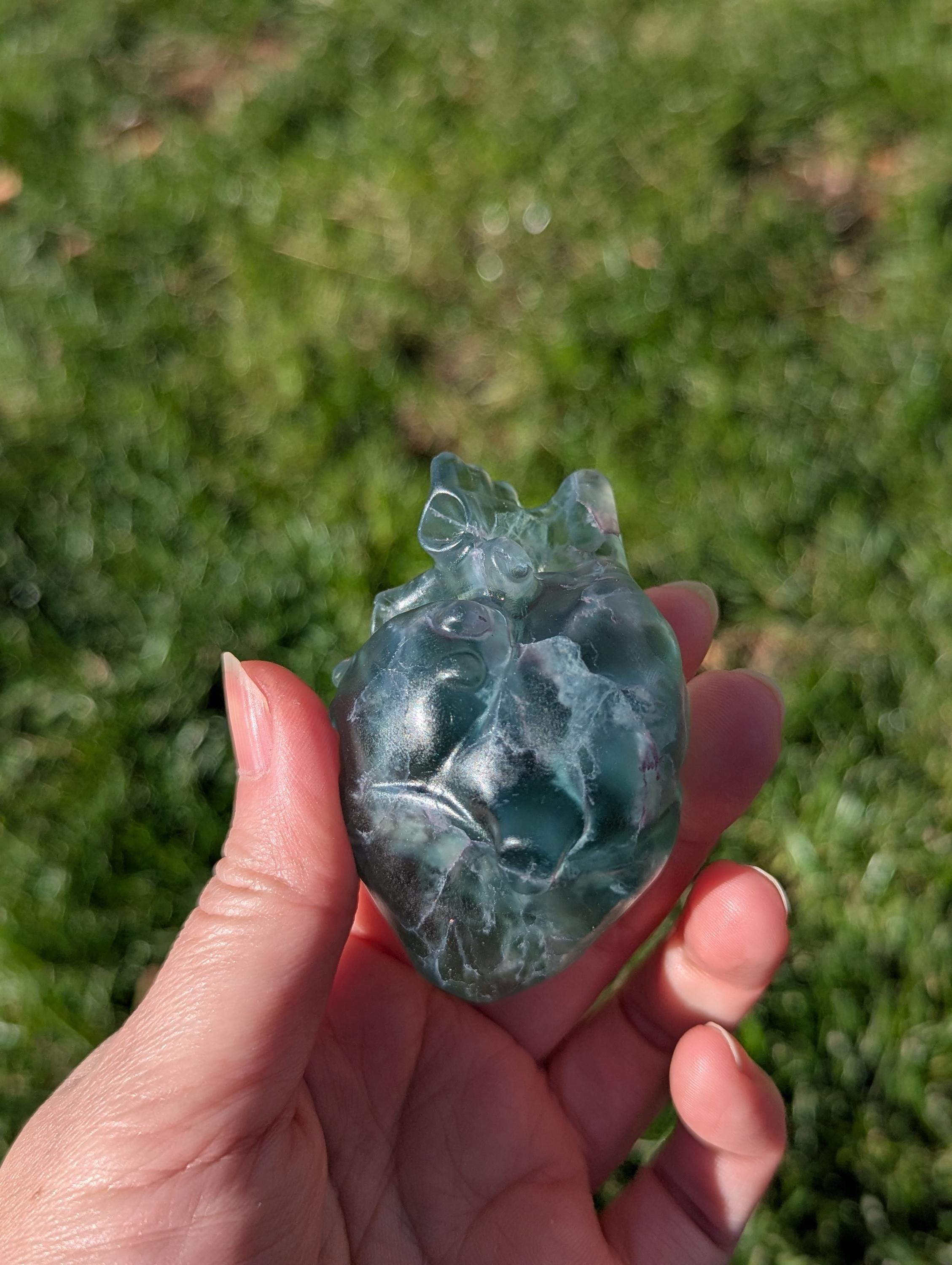 Fluorite Anatomical Heart - Green and Rainbow - Medical Organ Crystal ...