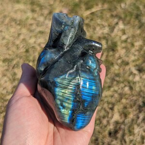 XL Labradorite Anatomical Heart Carvings With Guaranteed Flash Medical ...