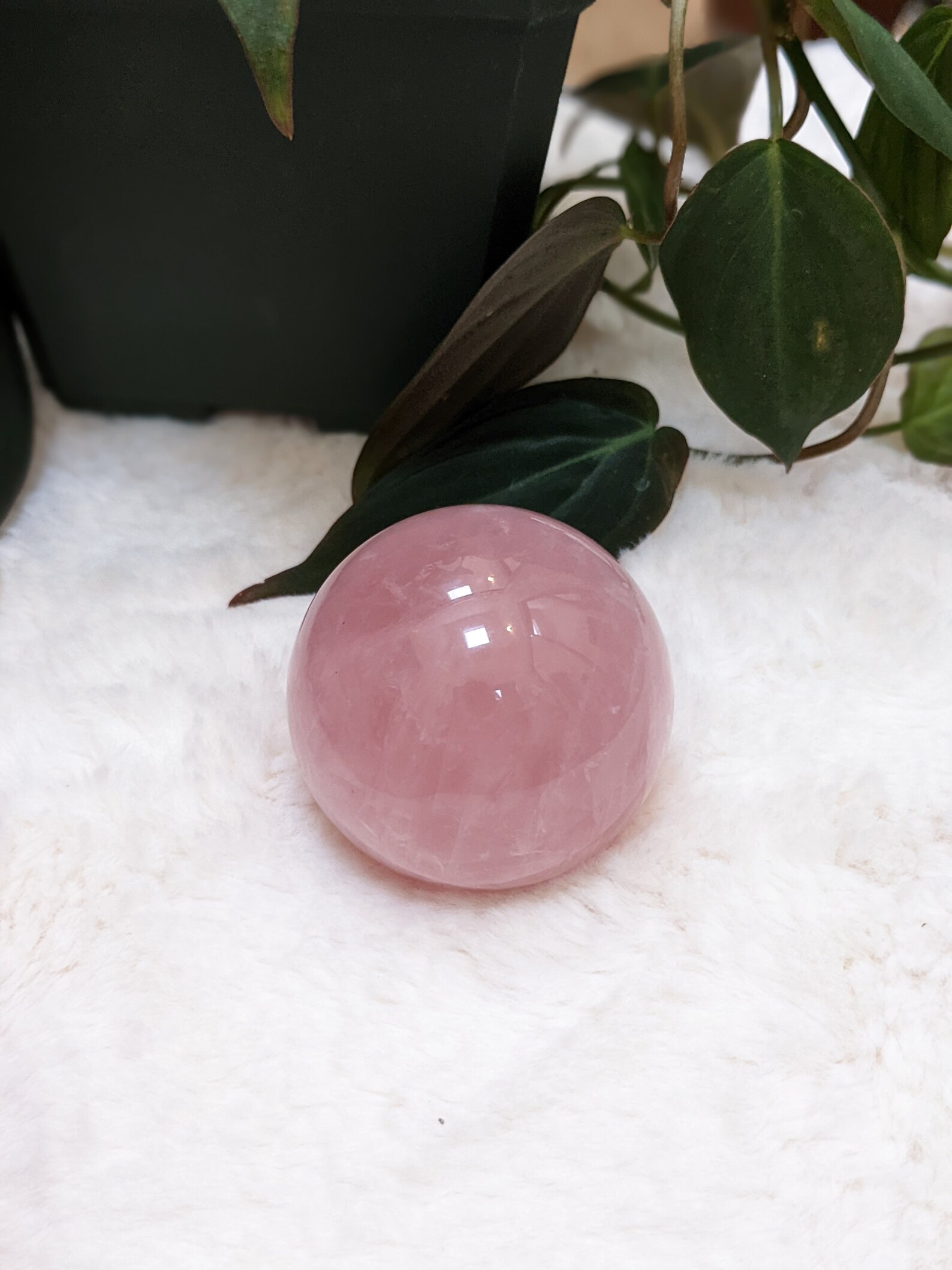 Star Rose Quartz Sphere With Rainbows Star Asterism Crystal - Etsy