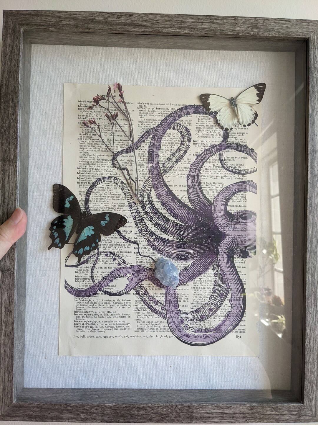 Handmade Oddities Shadow Box With Octopus Dictionary Page, Preserved ...