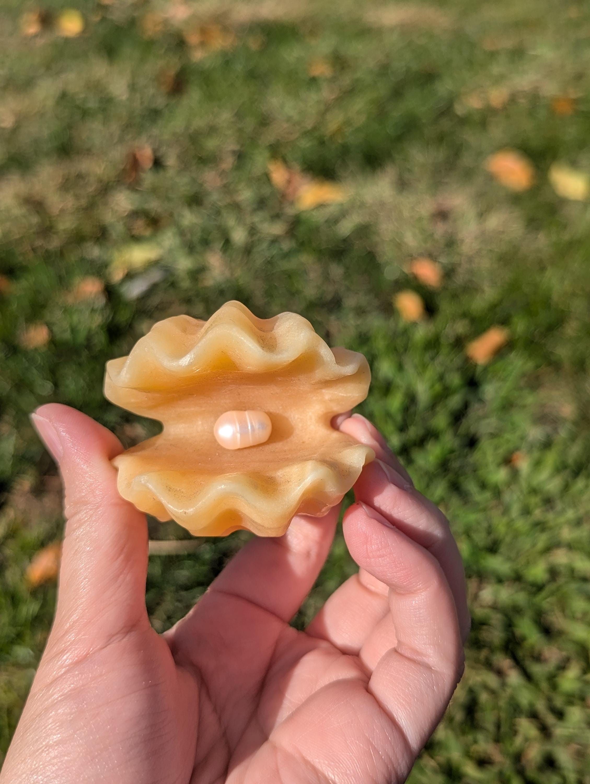 Seashell Crystal Carving With Real Pearl - Etsy