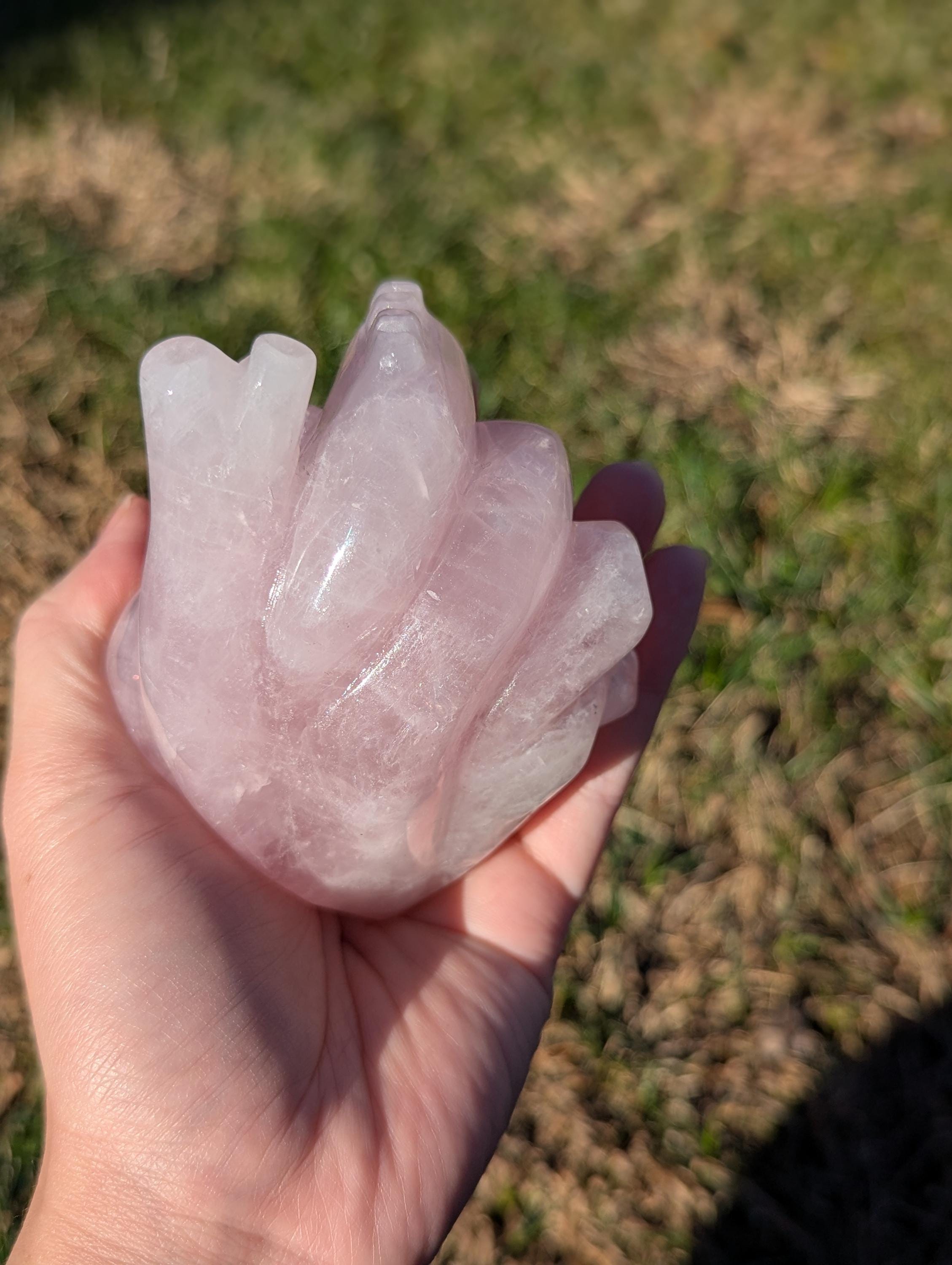XL Rose Quartz Anatomical Heart Carving - Extra Large Crystal Organ ...
