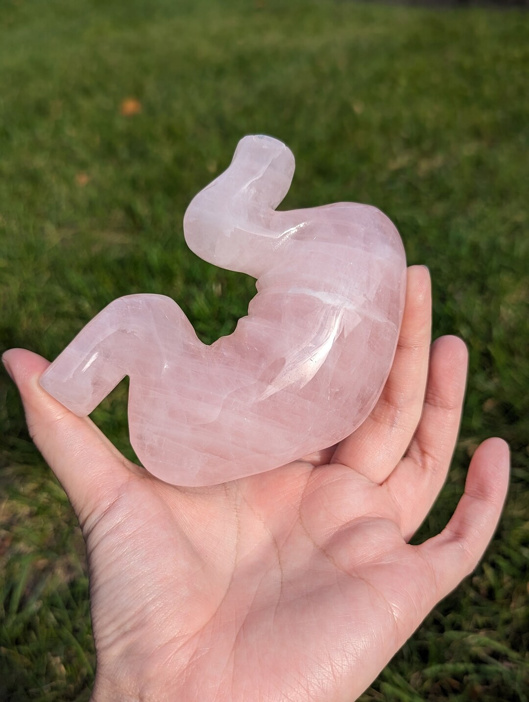 Rose Quartz Anatomical Stomach Organ Crystal Carving - Etsy