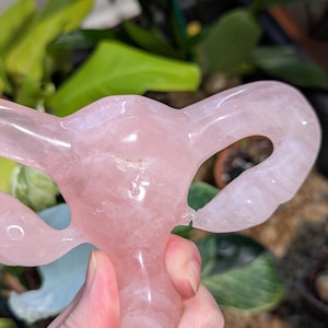 Rose Quartz Crystal Uterus Carving - Womb, Ovaries, Fallopian Tubes ...