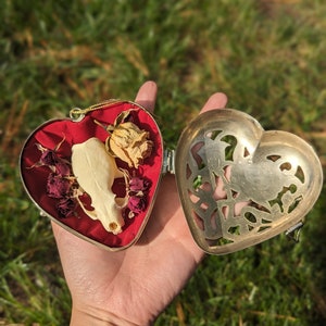 Mink Skull in Silver Heart Locket With Dried Roses - Etsy