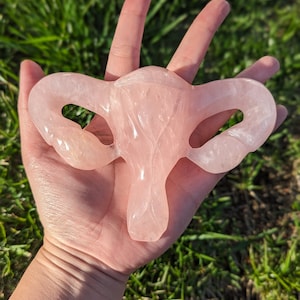 Rose Quartz Crystal Uterus Carving - Womb, Ovaries, Fallopian Tubes ...