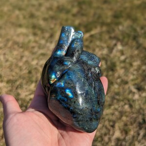 XL Labradorite Anatomical Heart Carvings With Guaranteed Flash Medical ...