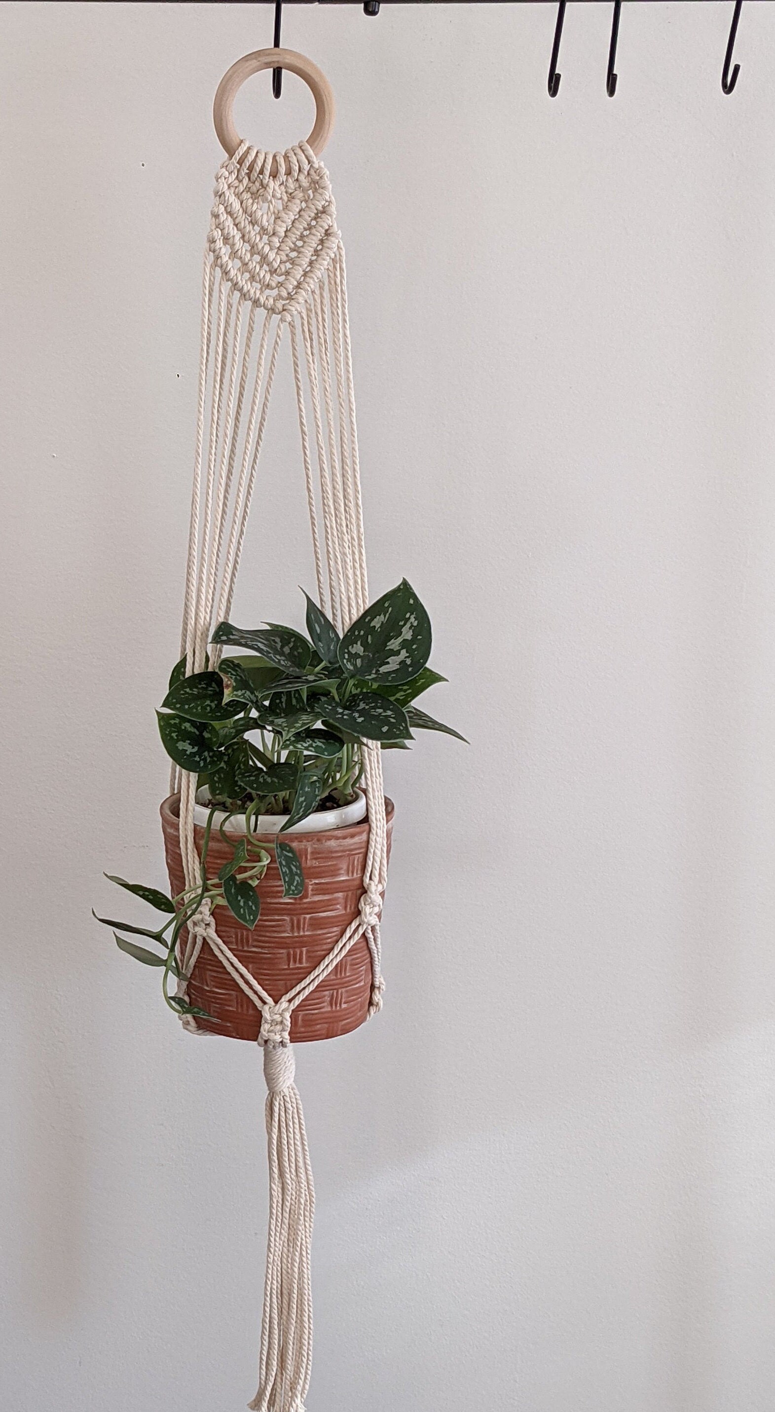 Macrame Planter on Wooden Ring | Etsy
