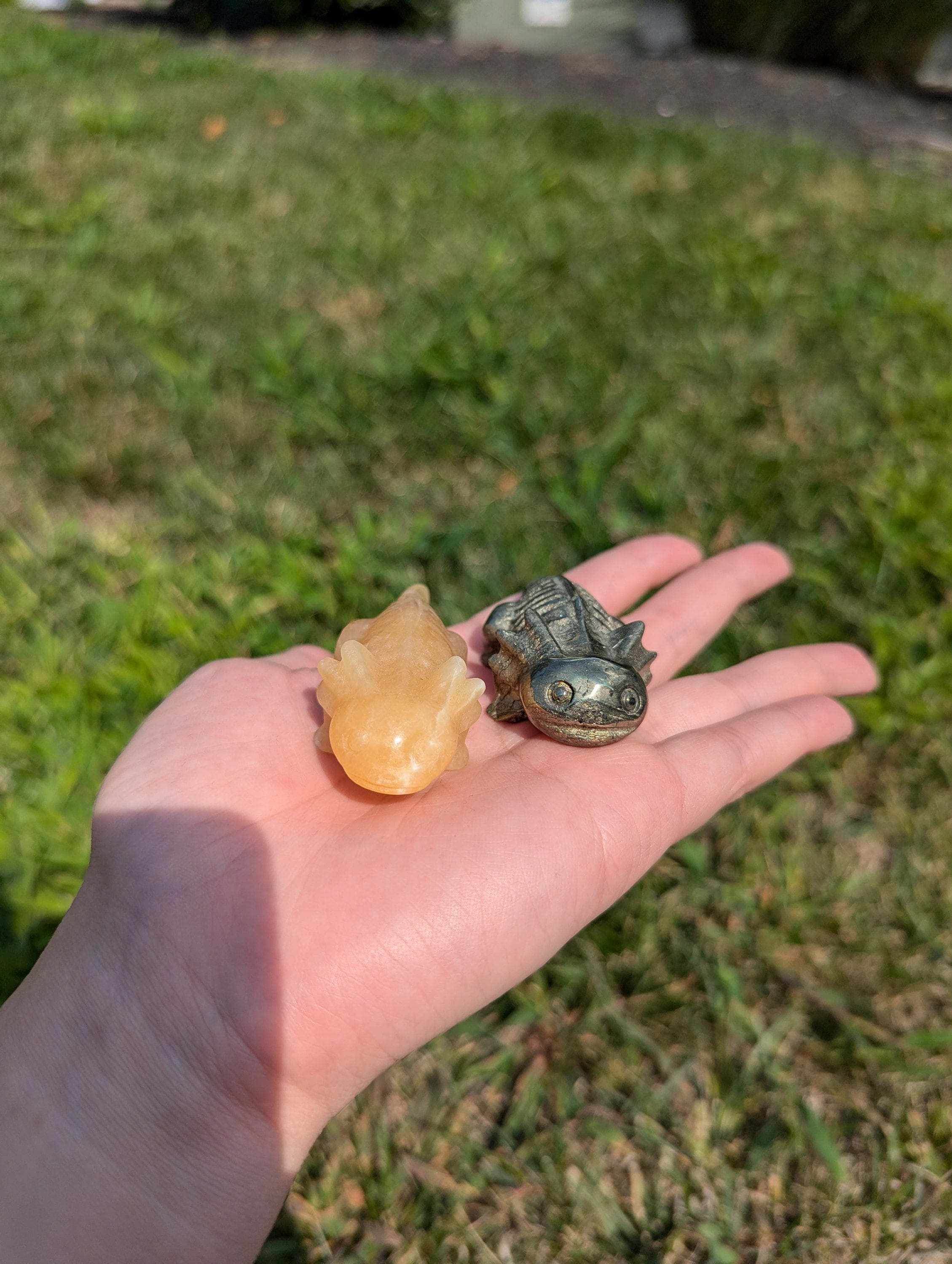 Axolotl Crystal Carvings in Different Sizes - Etsy