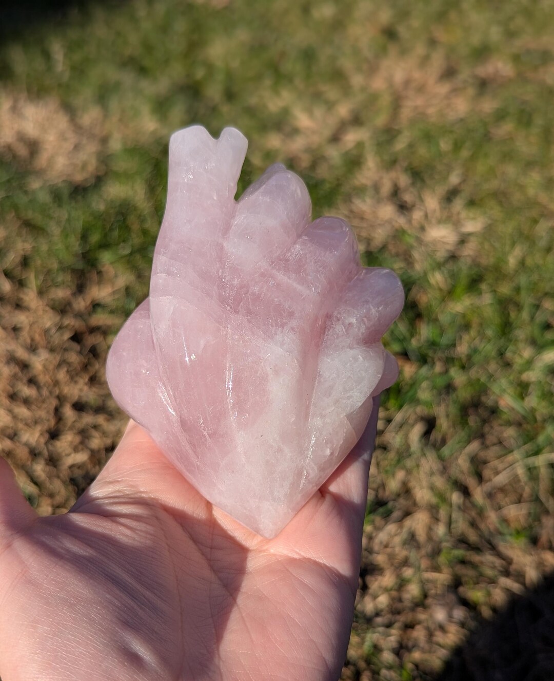 XL Rose Quartz Anatomical Heart Carving - Extra Large Crystal Organ ...