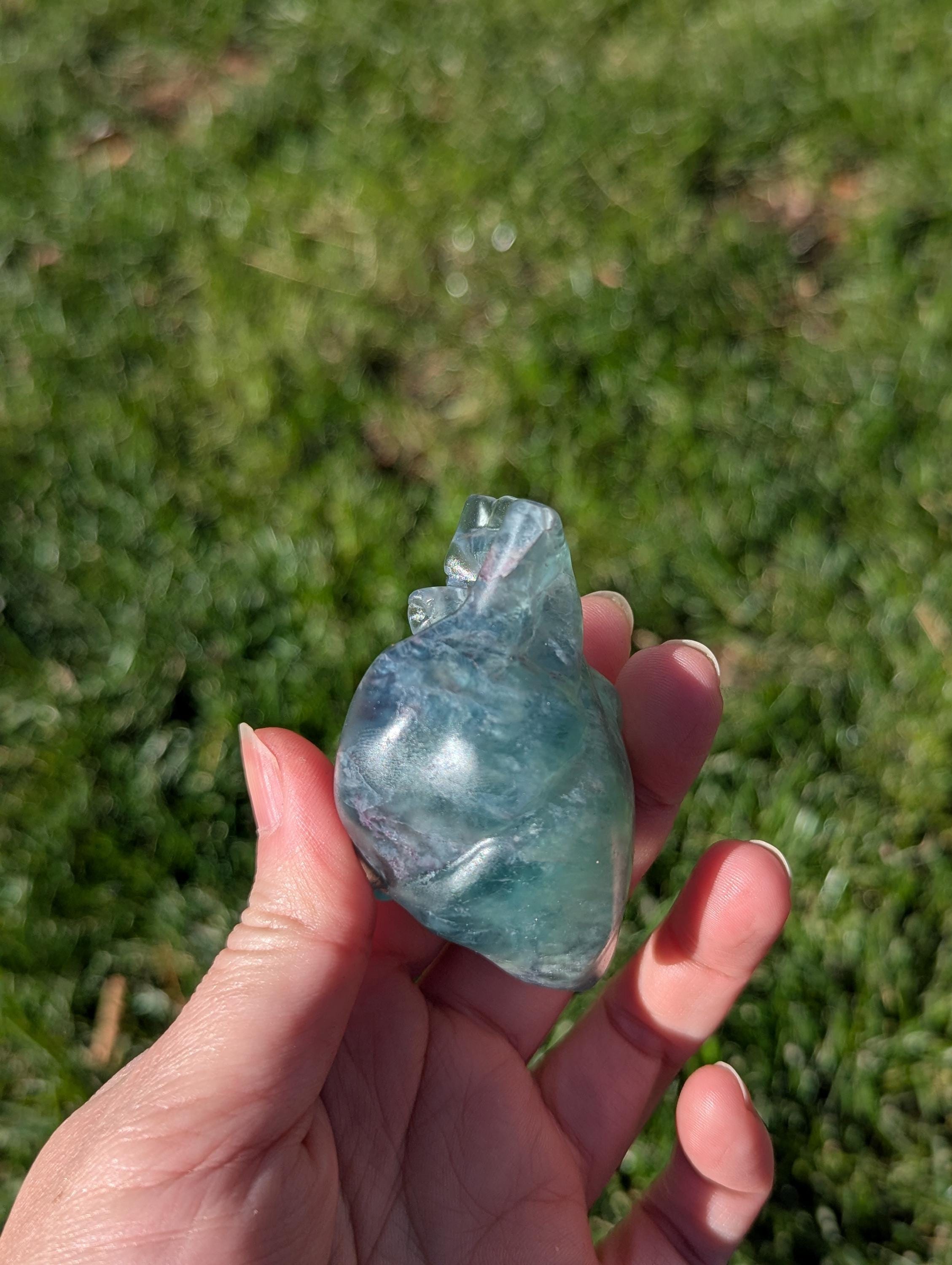 Fluorite Anatomical Heart - Green and Rainbow - Medical Organ Crystal ...