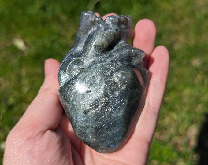 Labradorite Anatomical Human Heart Crystal Carving Silver and ...