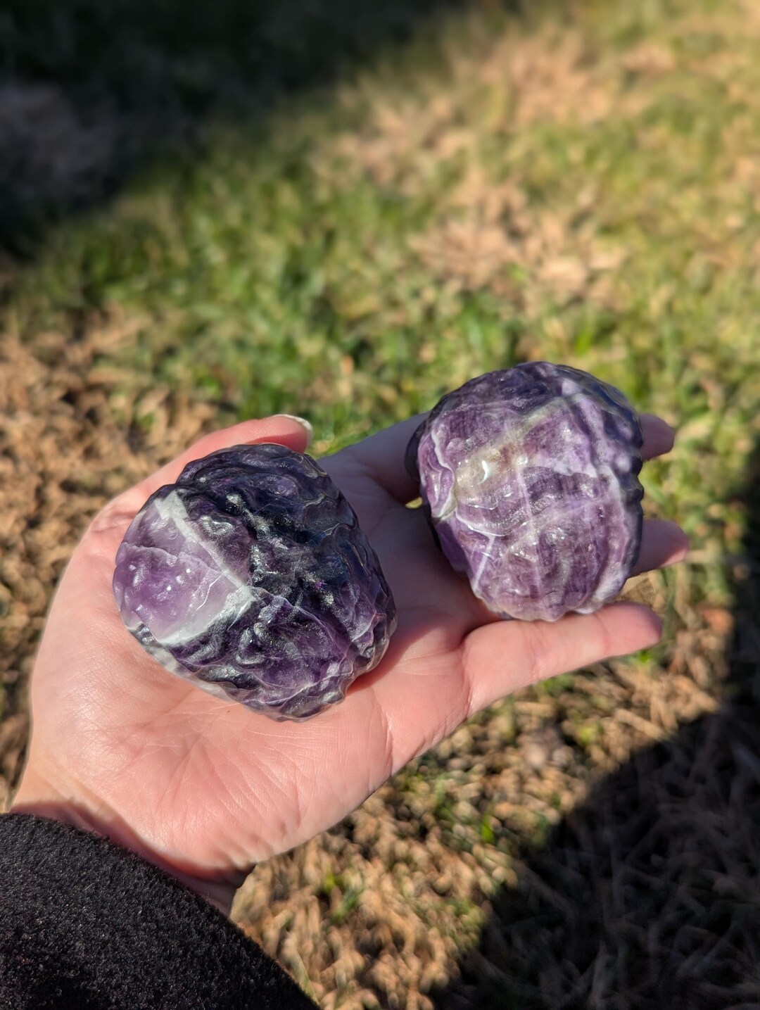 Amethyst Anatomical Brain Carving - Dream Amethyst - Crystal Organ - Etsy