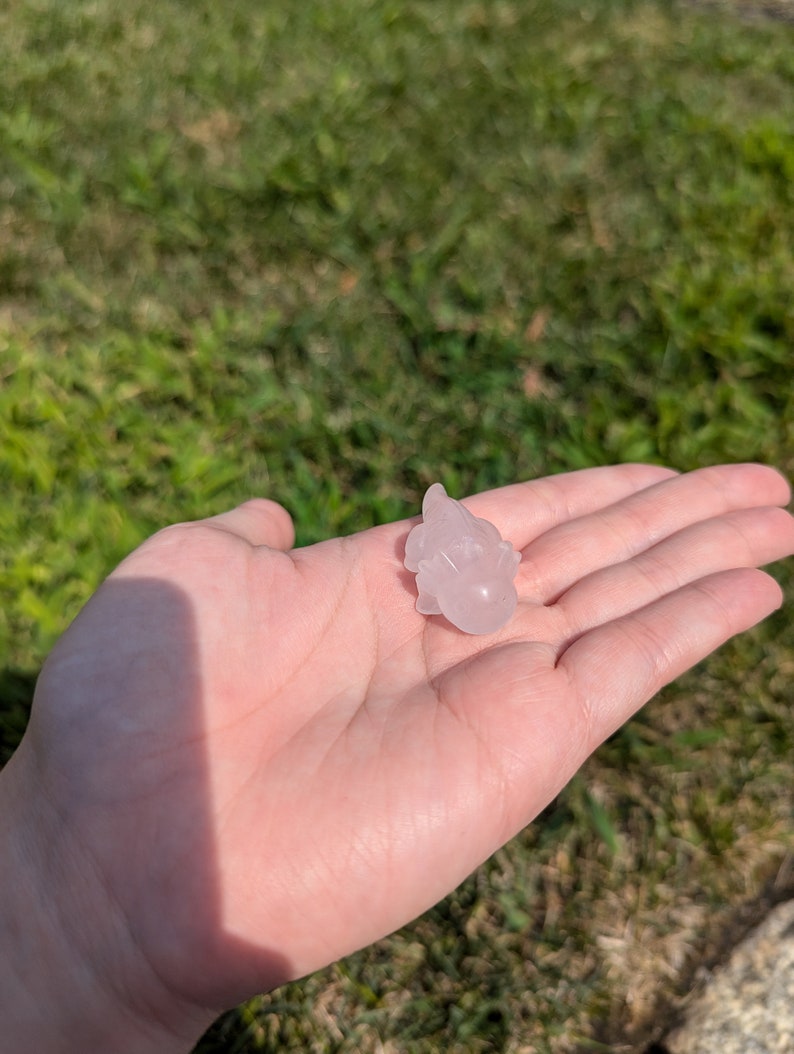 Axolotl Crystal Carvings in Different Sizes - Etsy