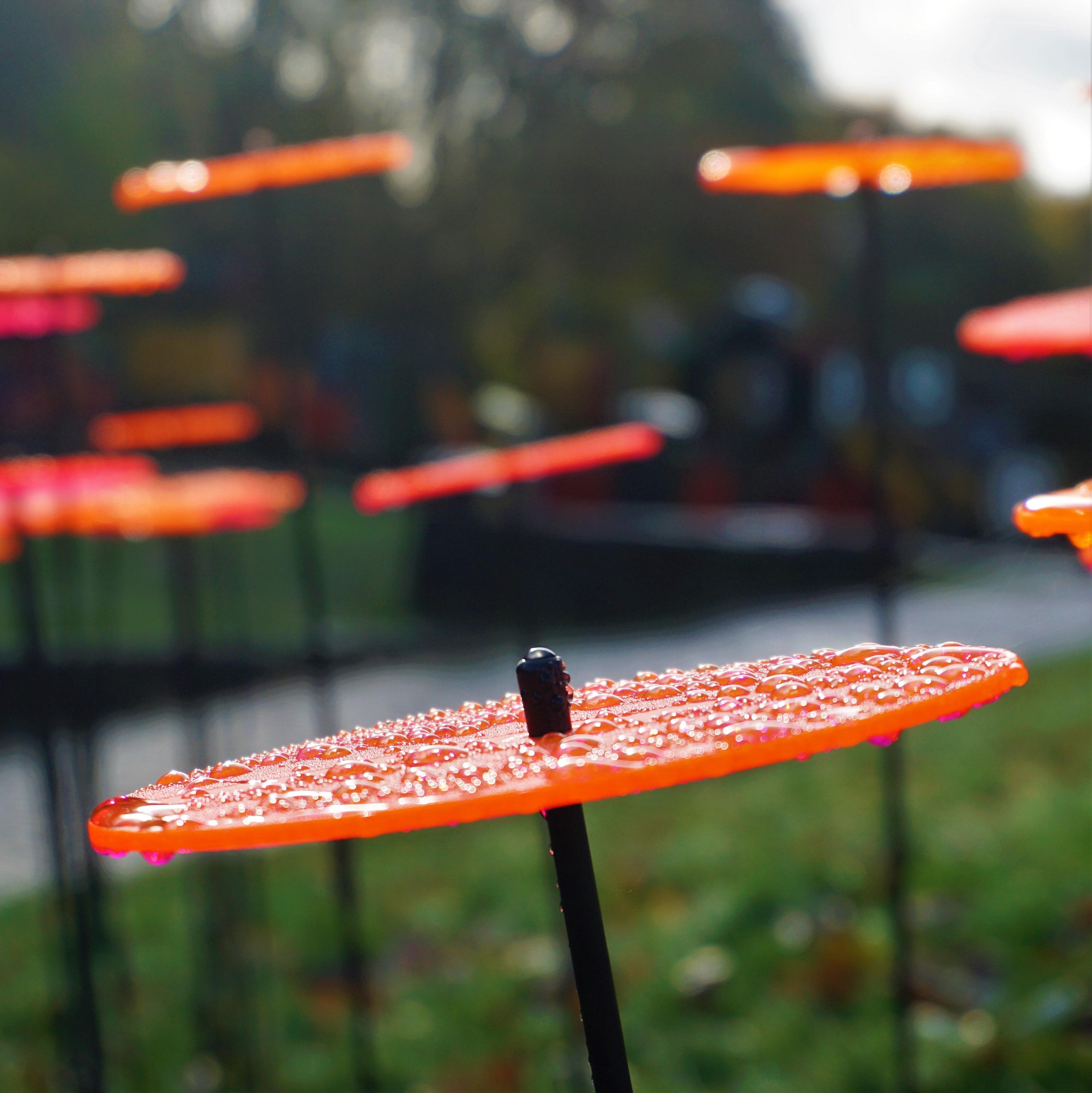 Sun Discs Set of 5: Glowing Garden Stakes, Outdoor Decor (75cm, 29.5 ...