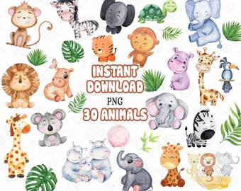 Baby Shower Safari - Etsy