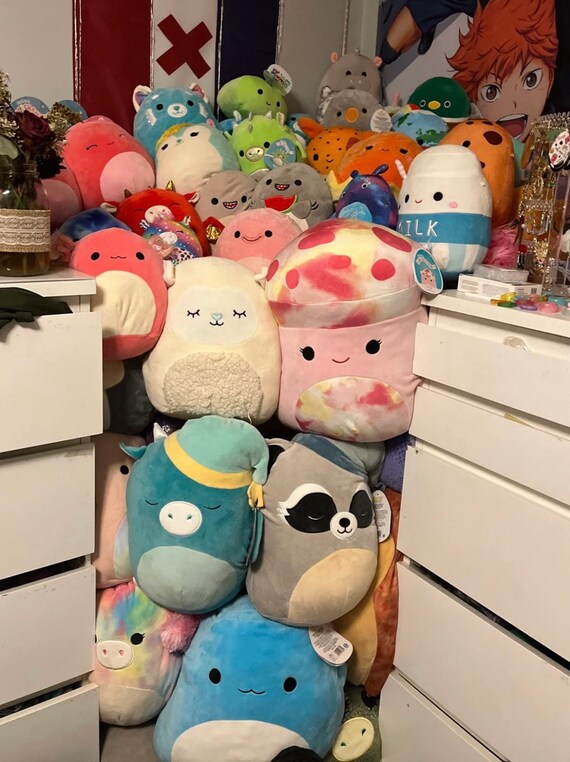 Squishmallow Mystery Box Bundle - Etsy