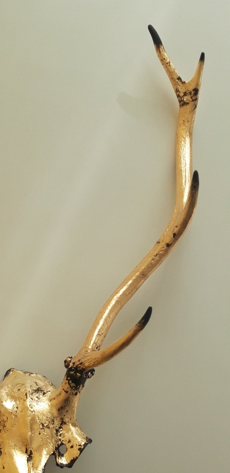 Real Stag Skull - 24k Gold Leaves - Etsy