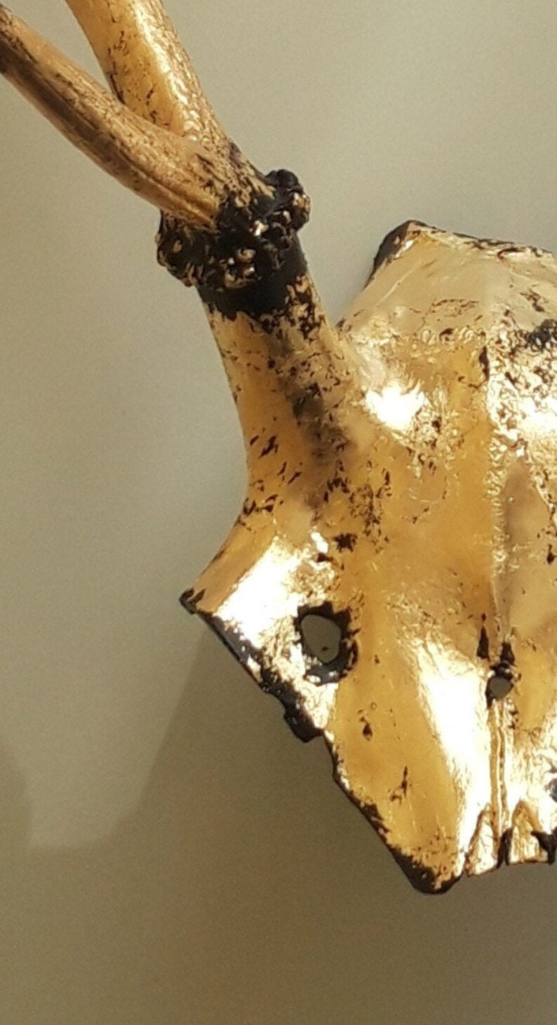 Real Stag Skull - 24k Gold Leaves - Etsy
