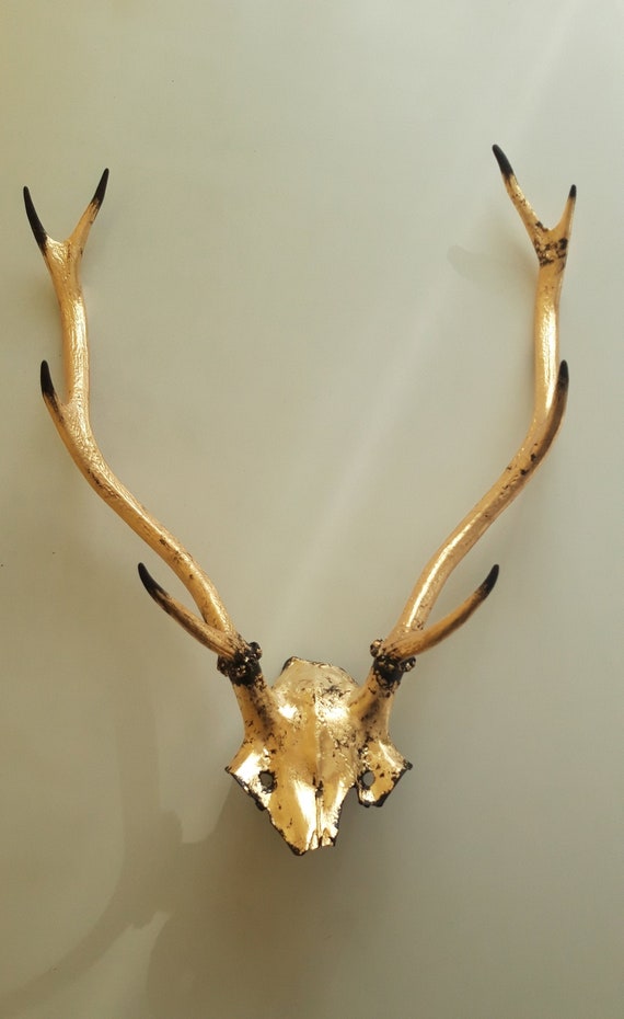 Real Stag Skull 24k Gold Leaves | Etsy