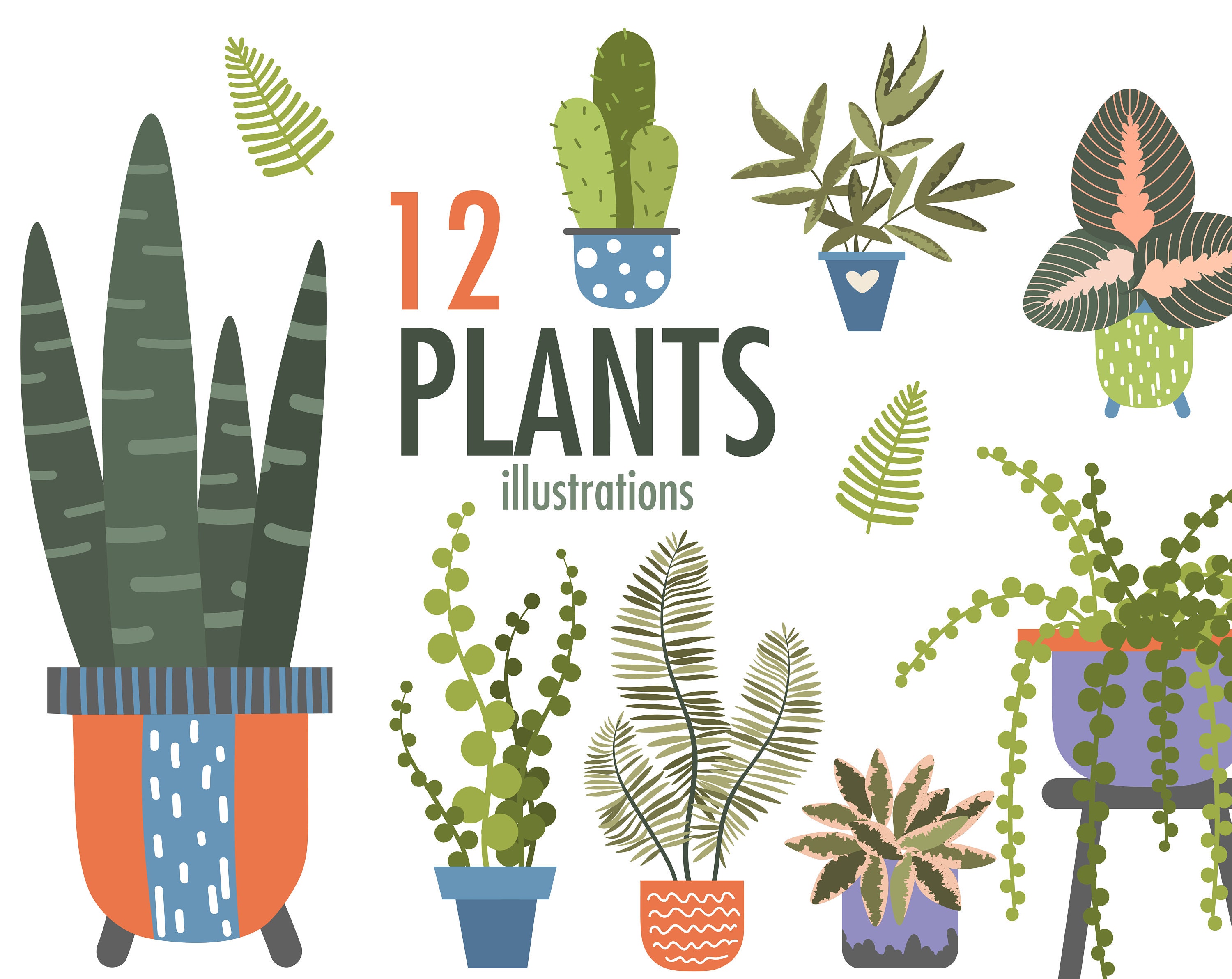 House Plants Clipart SVG Botanical Plant Illustration Flower - Etsy