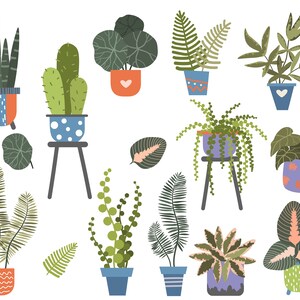 House Plants Clipart SVG Botanical Plant Illustration Flower - Etsy