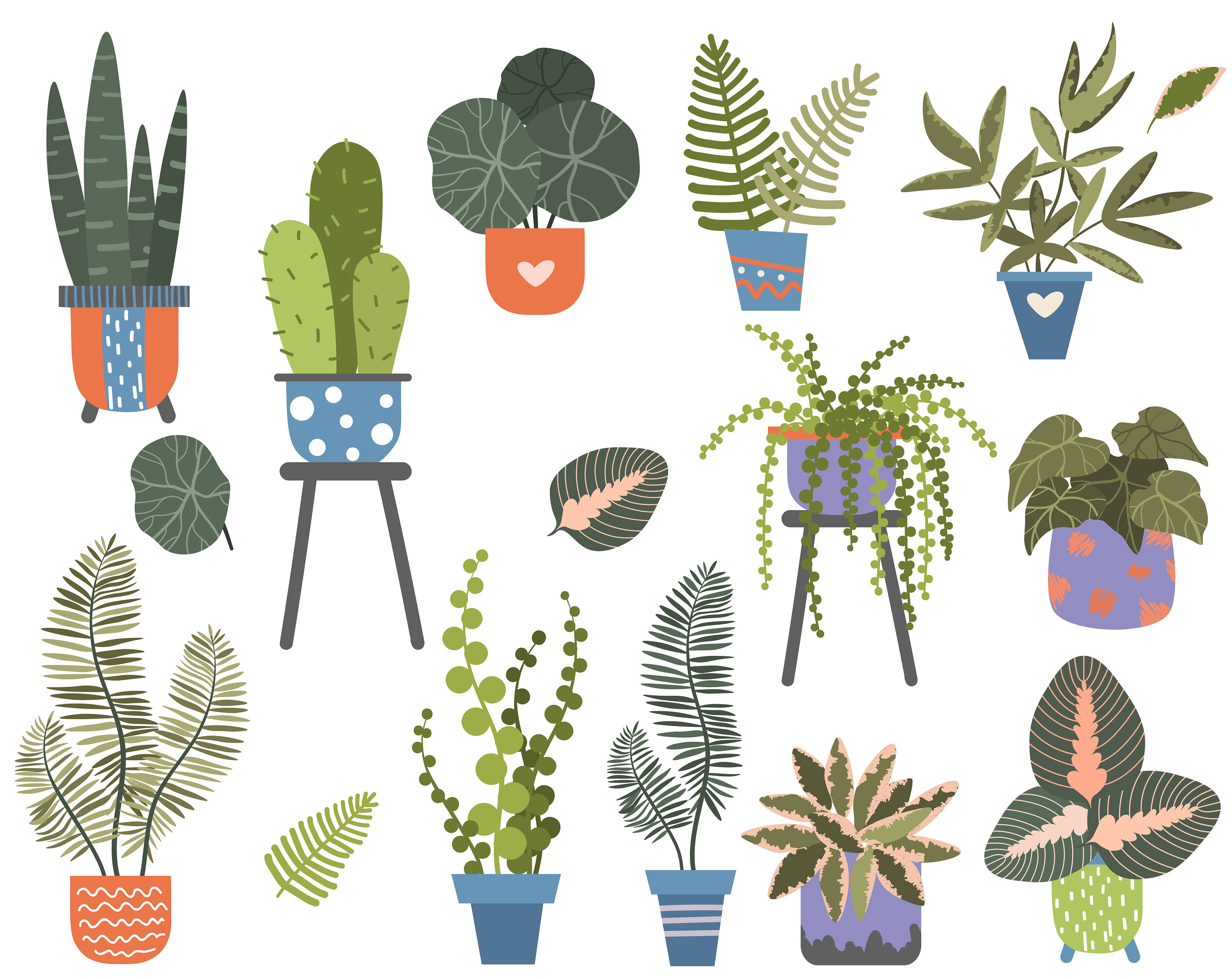 House Plants Clipart SVG Botanical Plant Illustration Flower - Etsy