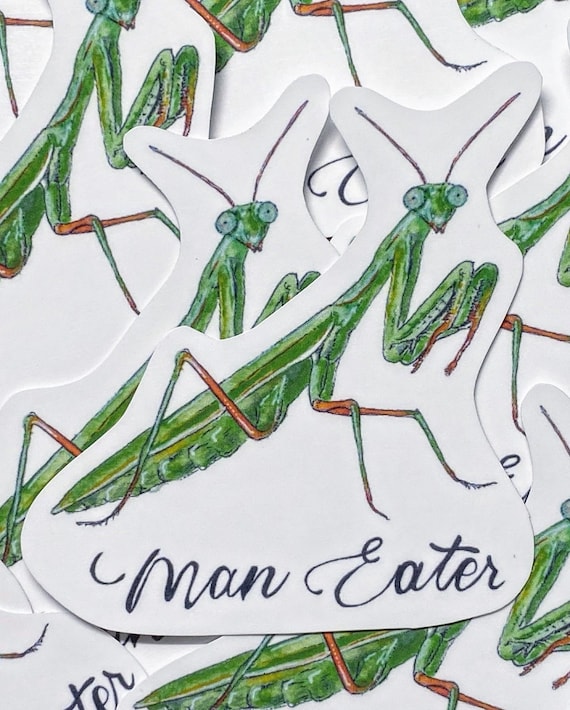 Waterproof Praying Mantis Man Eater Sticker. Funny Educational - Etsy