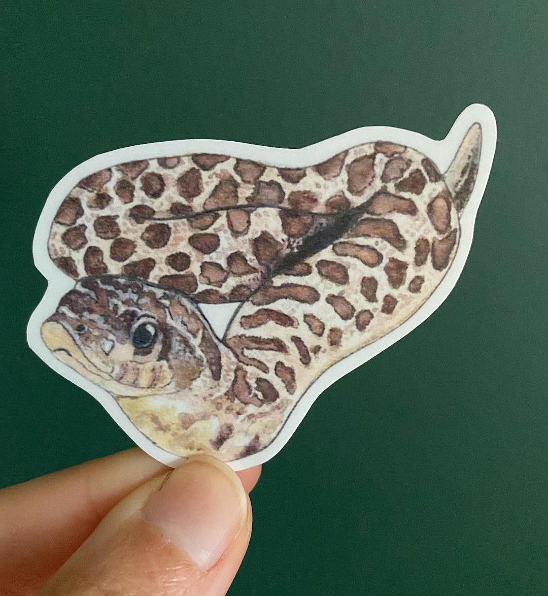 Hognose Snake Sticker - Etsy