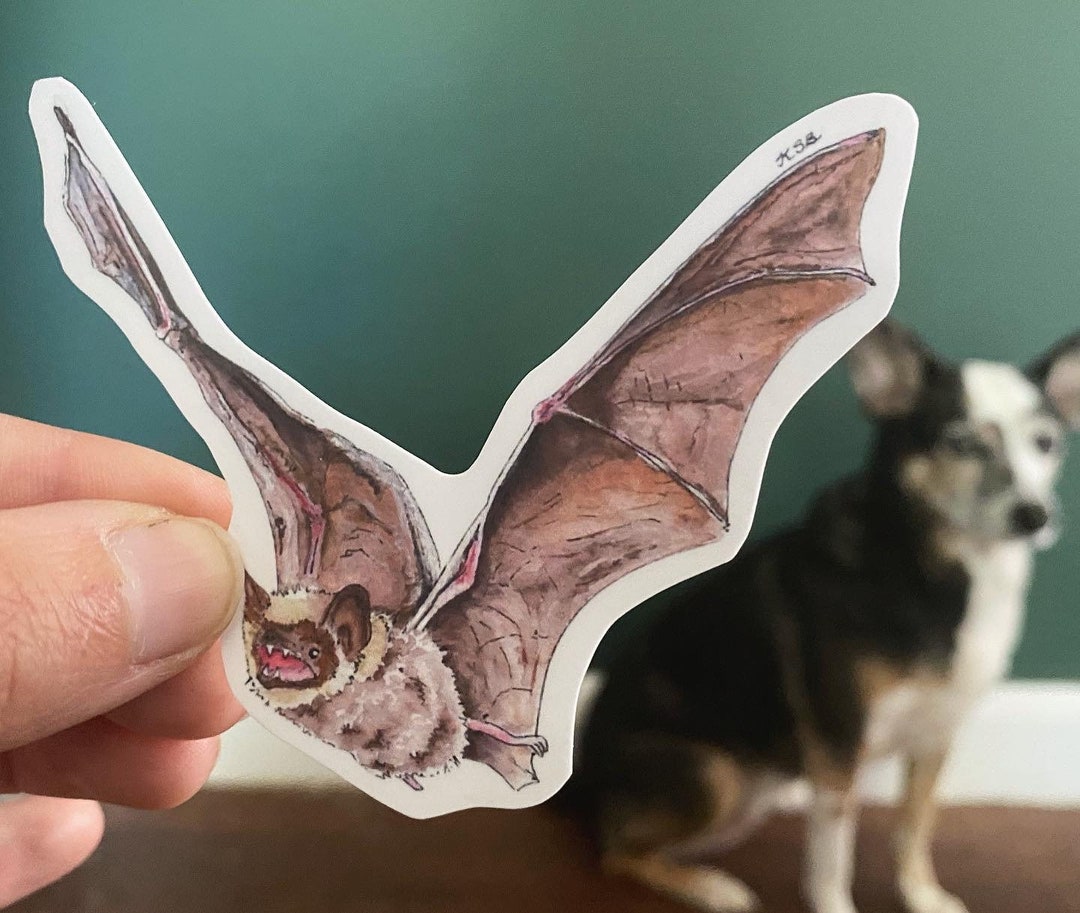 Bat Sticker - Etsy