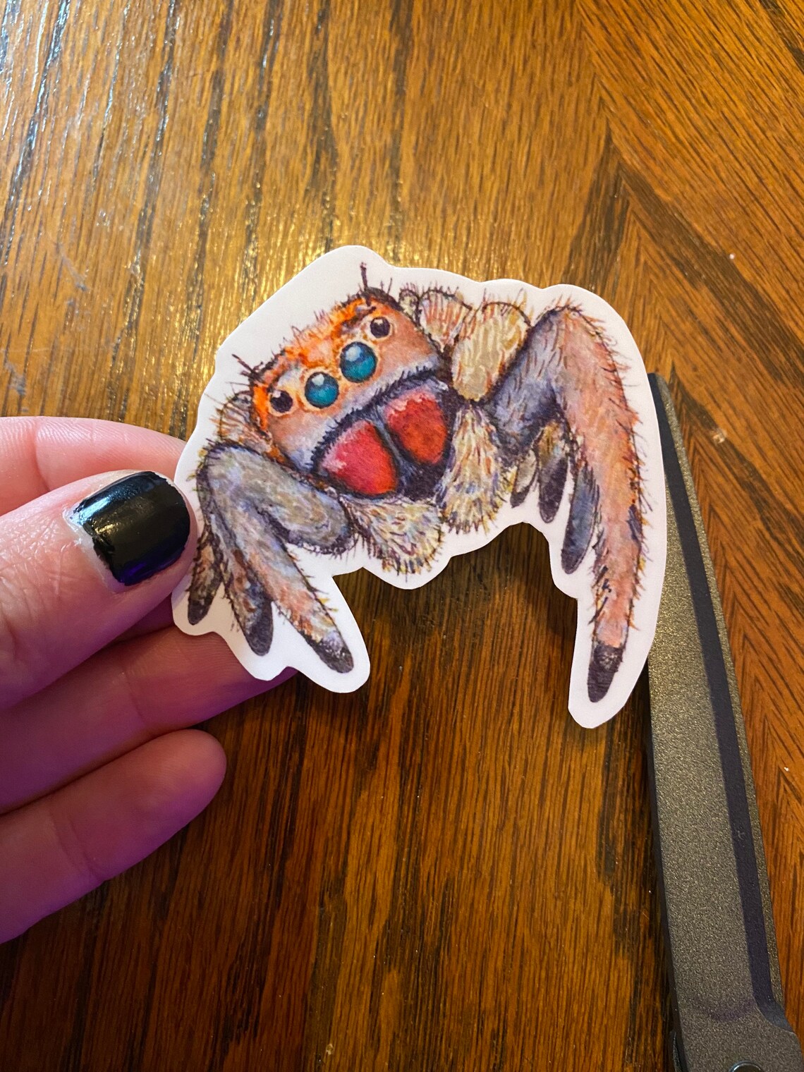 Jumping Spider Sticker | Etsy