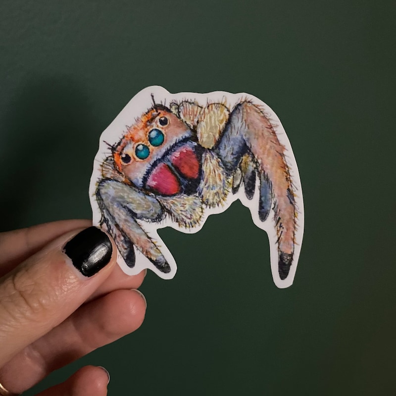 Spider Stickers - Etsy