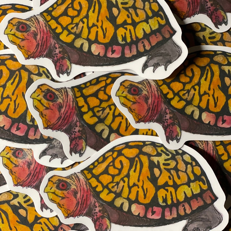 Box Turtle - Etsy
