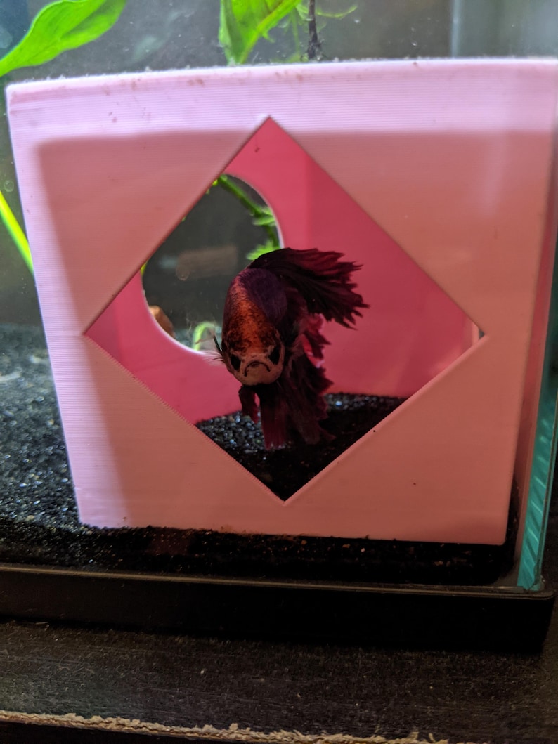 Betta Fish Corner Hide - Etsy