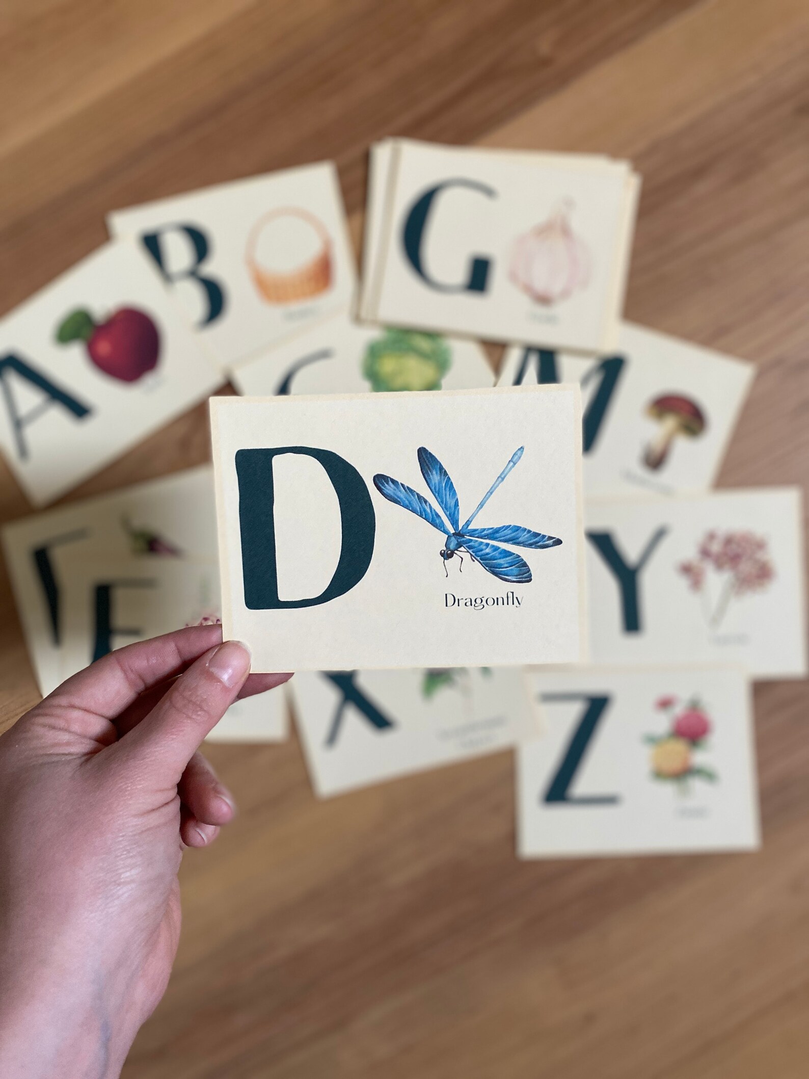 Alphabet Flash Cards, Uppercase, Garden Theme, Homeschool Supplies ...