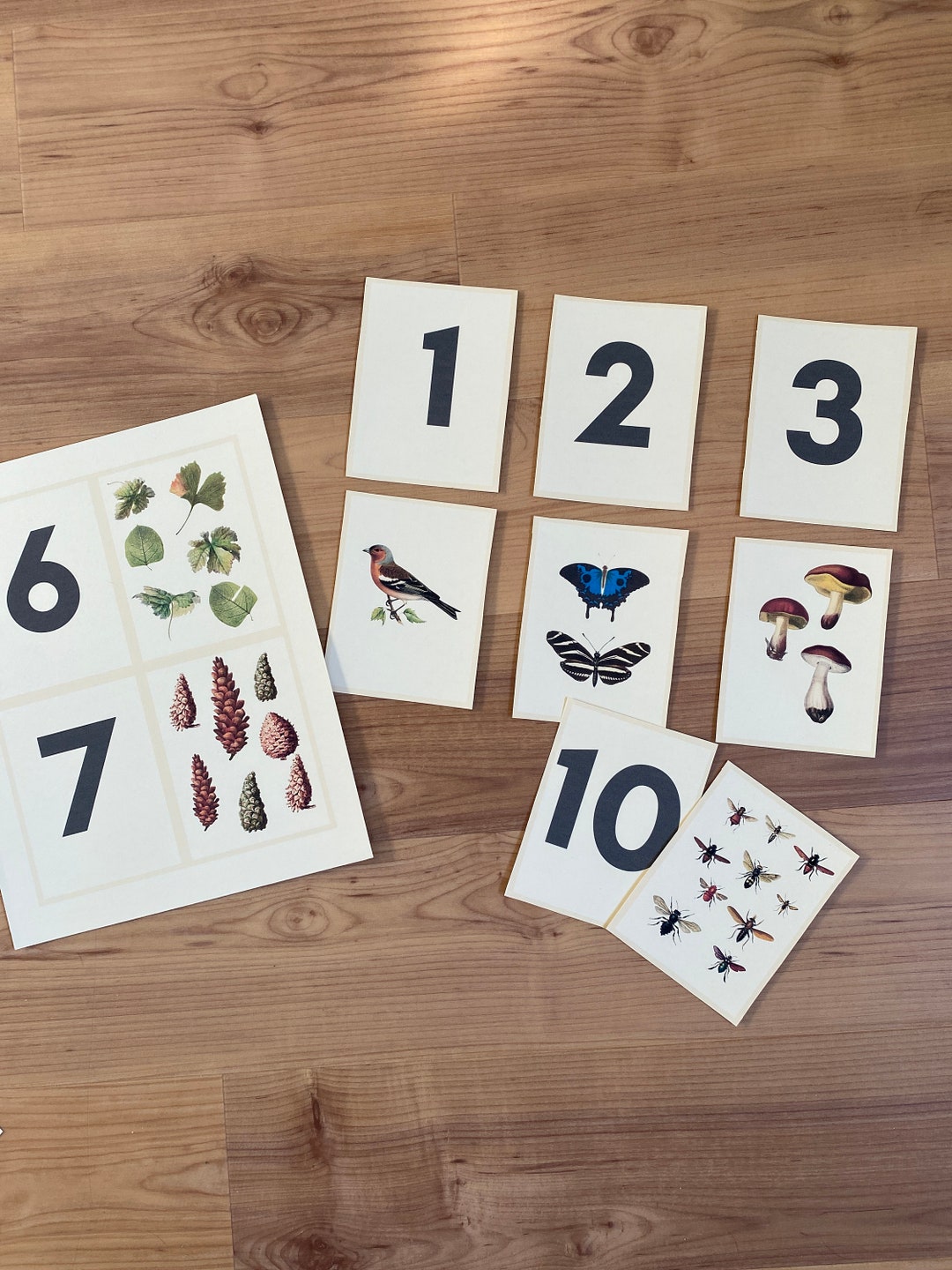 Number Flash Cards, Counting Flashcards, Math Flashcards, Matching Game ...