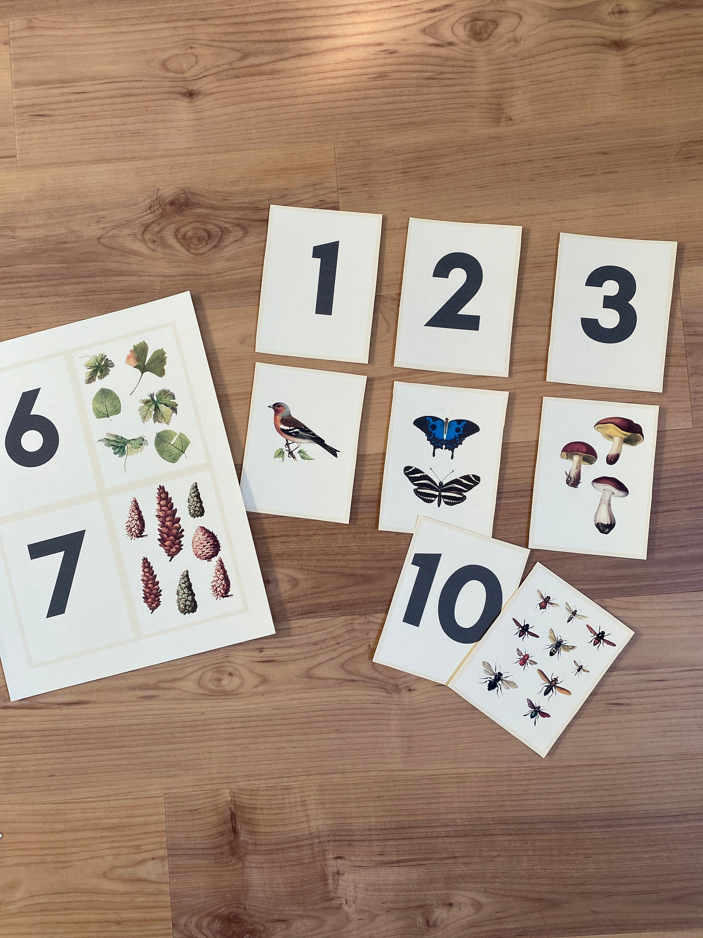 Number Flash Cards, Counting Flashcards, Math Flashcards, Matching Game ...