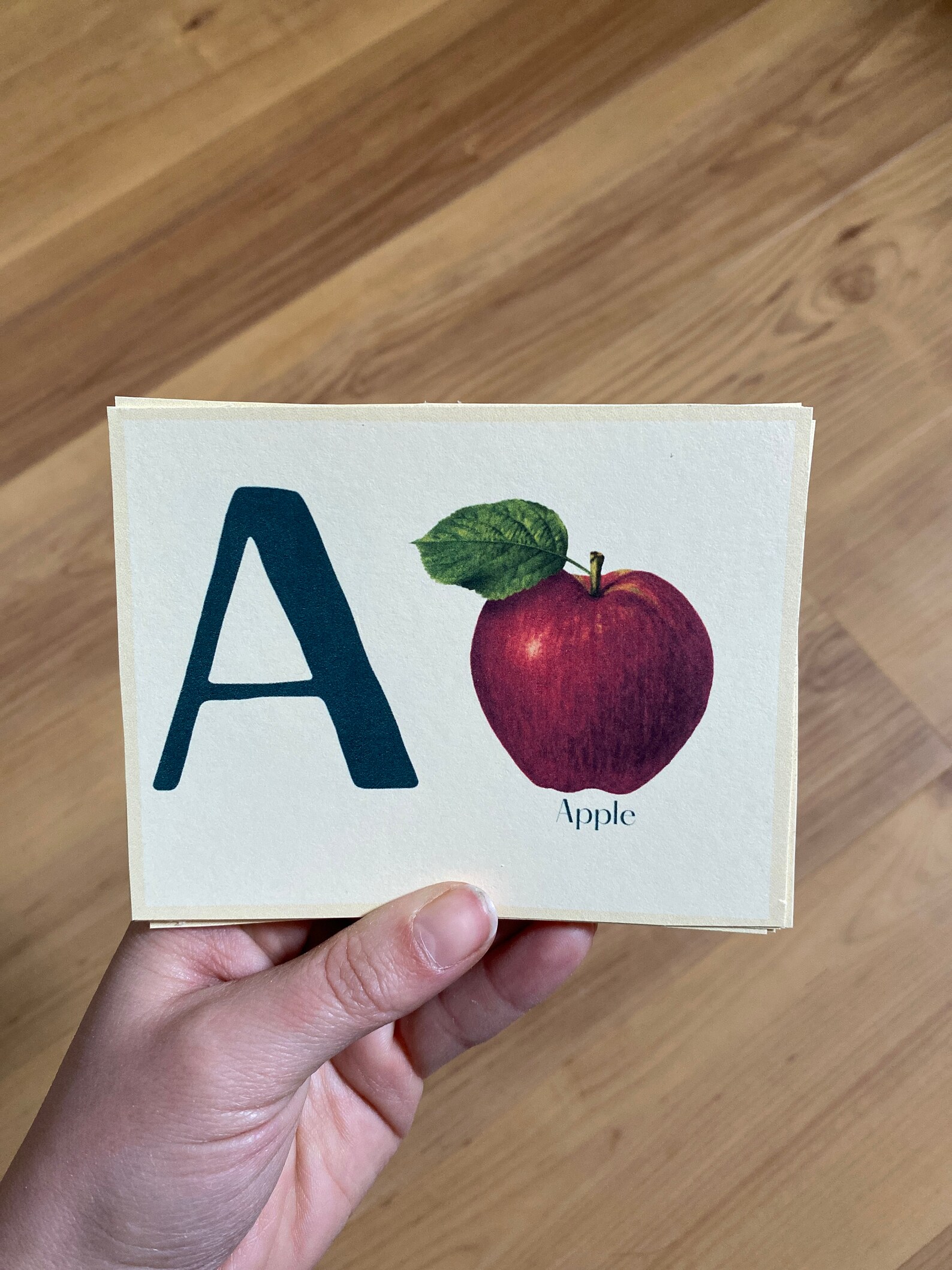 Alphabet Flash Cards, Uppercase, Garden Theme, Homeschool Supplies ...