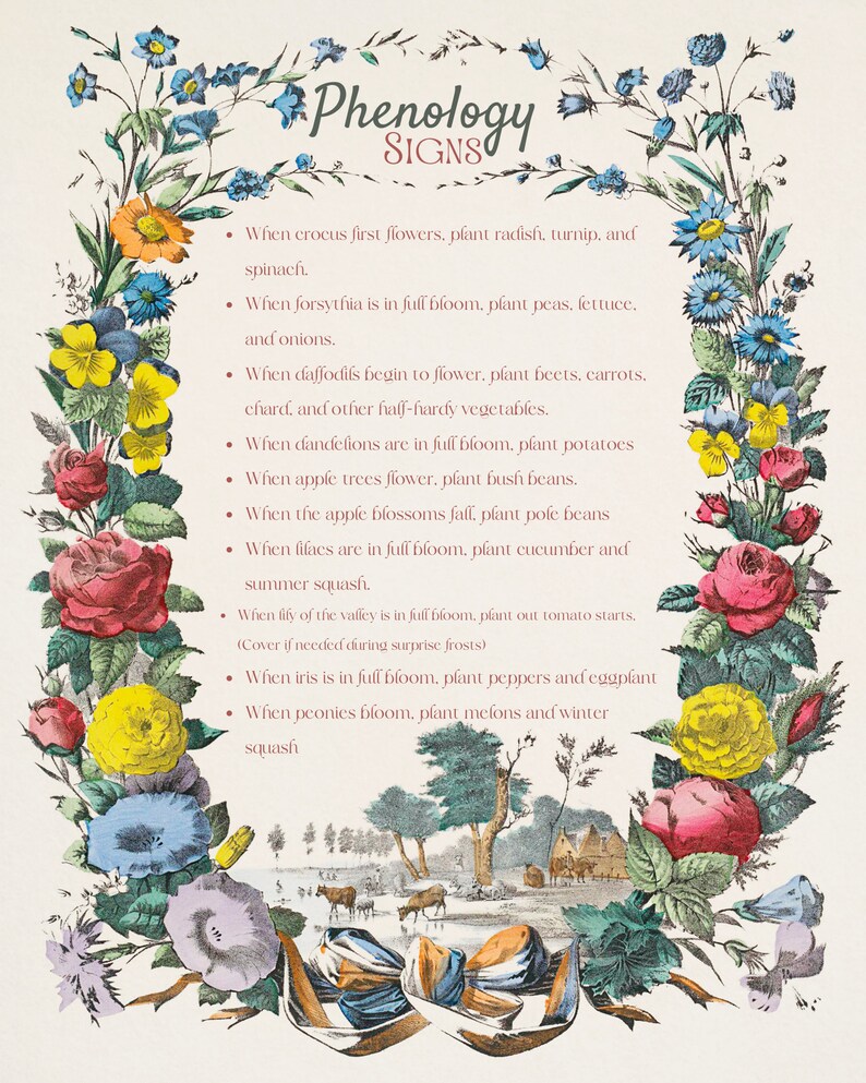 Phenology Signs in Color (digital Printable Art) - Etsy