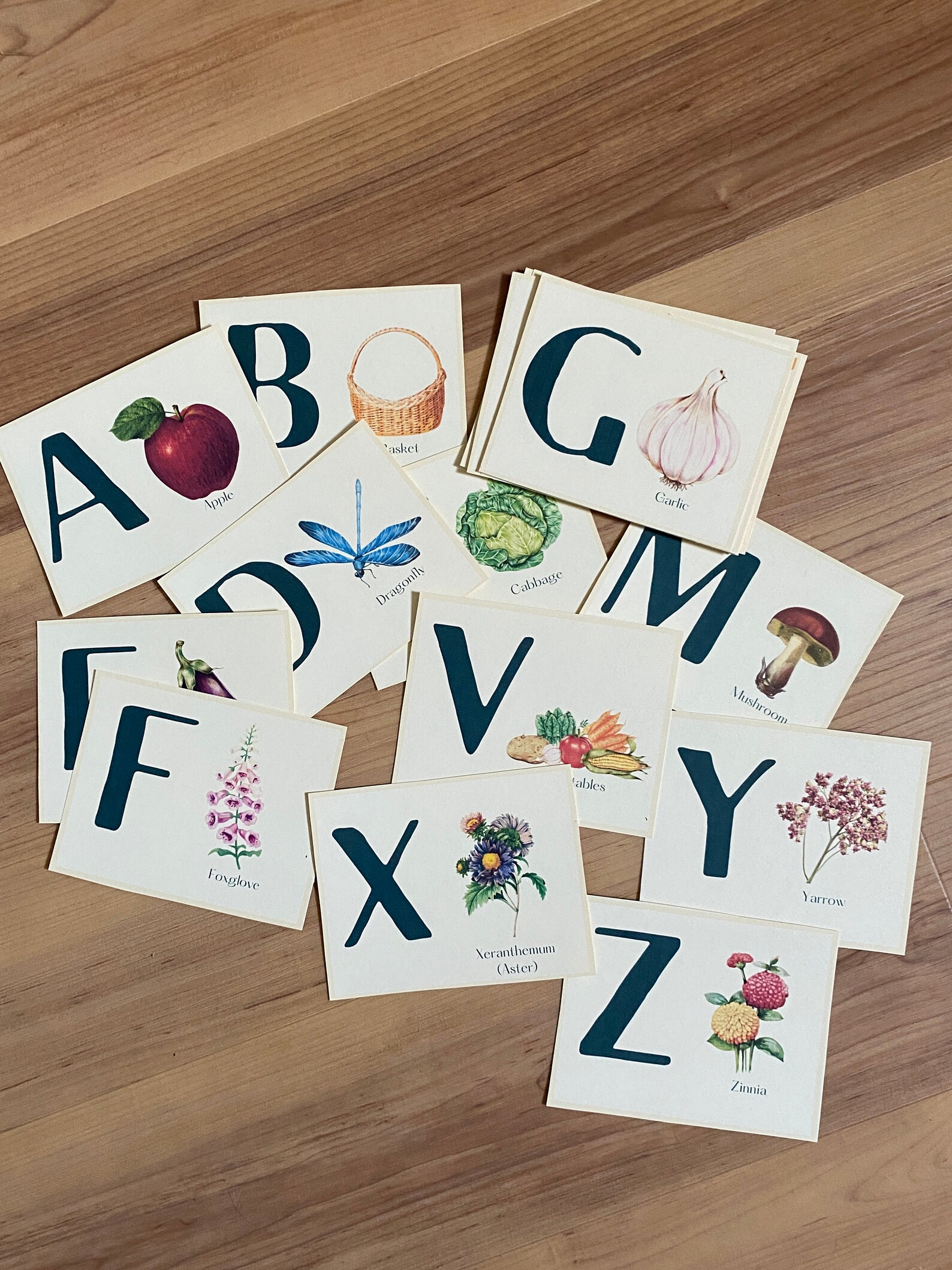 Alphabet Flash Cards, Uppercase, Garden Theme, Homeschool Supplies ...