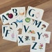 Alphabet Flash Cards, Uppercase, Garden Theme, Homeschool Supplies ...
