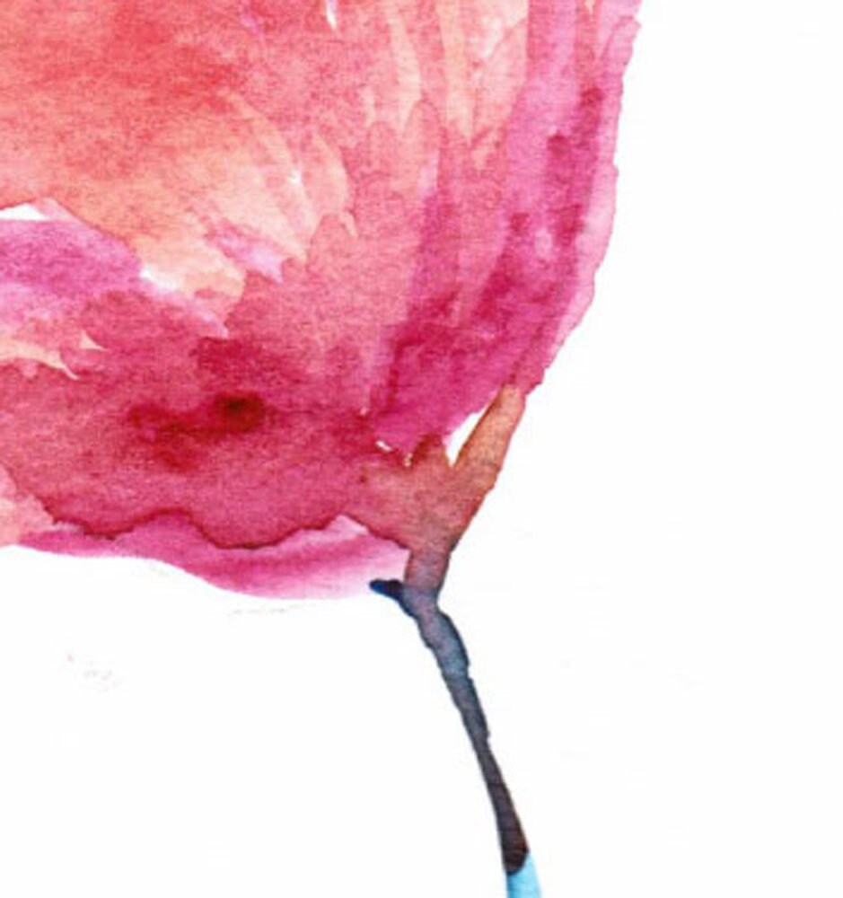 Flower,discoloration,wedding Card,fade,fading,tulip, Disital Download ...