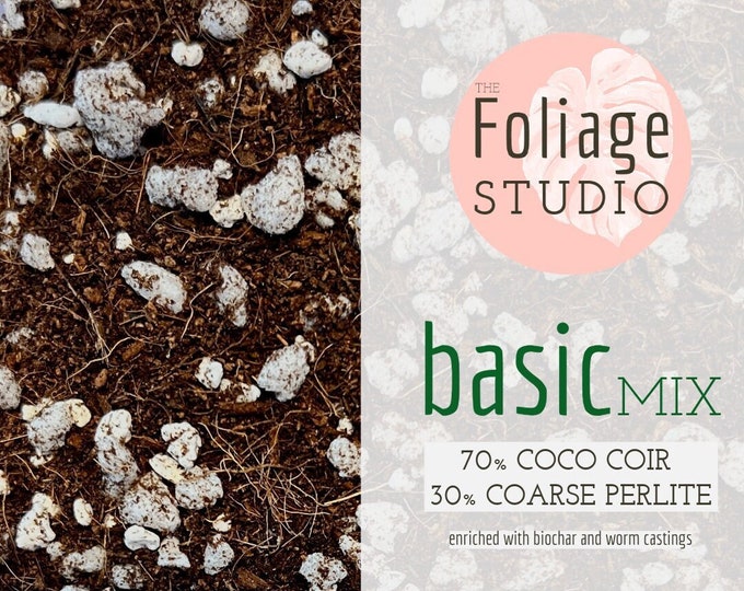 Basic Mix Small Batch Soil Free All Purpose Potting Mix With Coco Coir ...