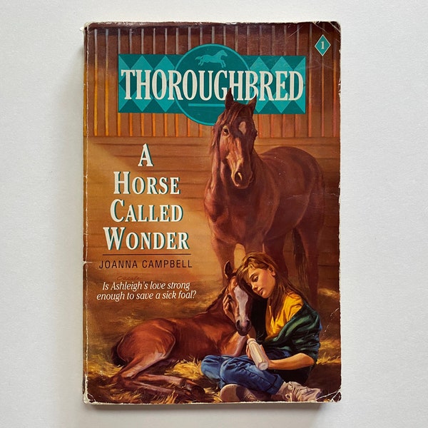 Thoroughbred Horse Called Wonder - Etsy