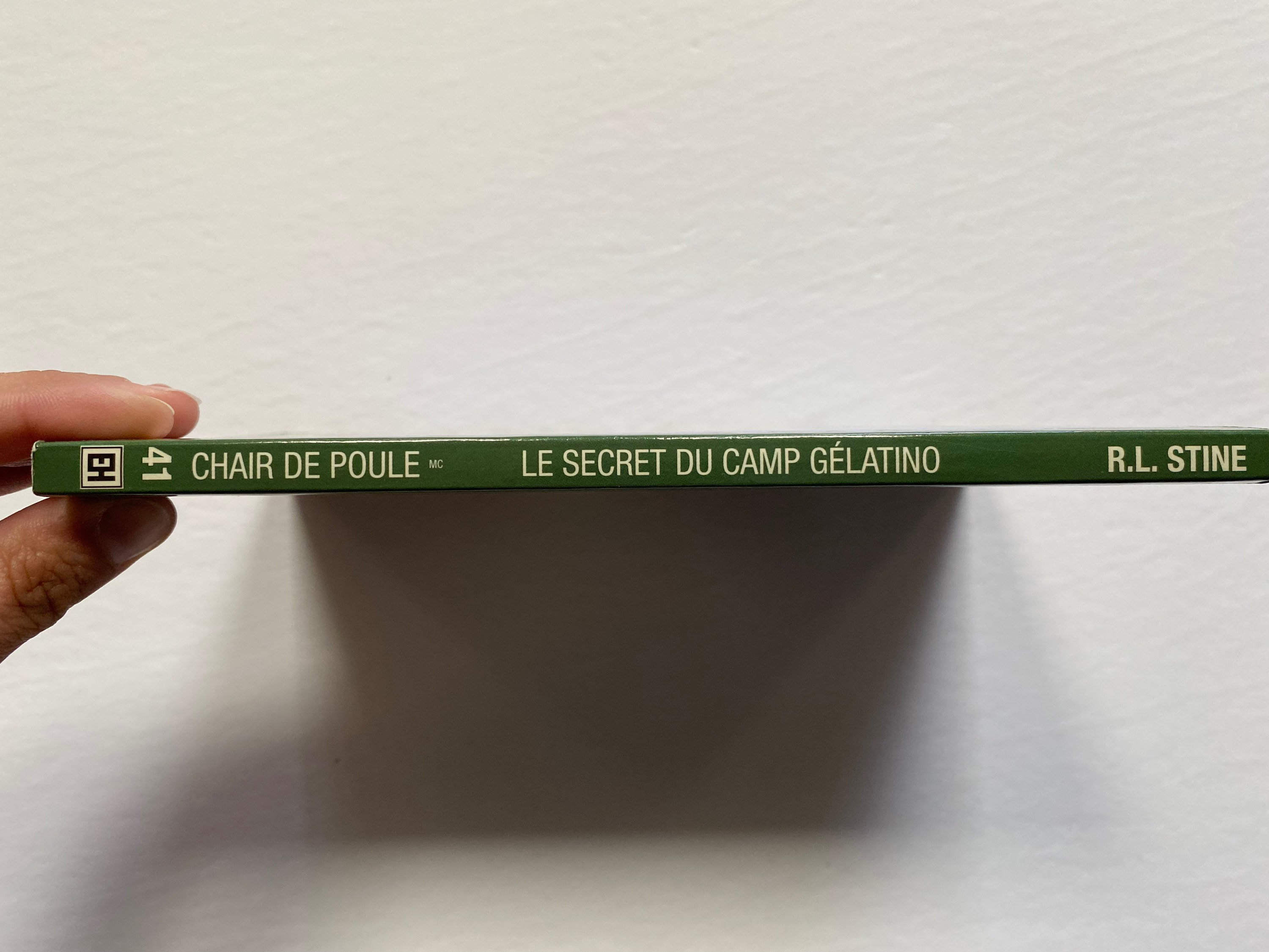 Goosebumps #41 Camp Jellyjam FRENCH Chair De Poule Le Secret Du Camp ...
