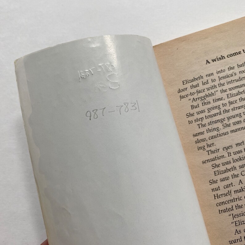 Sweet Valley Twins BIG for Christmas Paperback Chapter Book by Francine ...