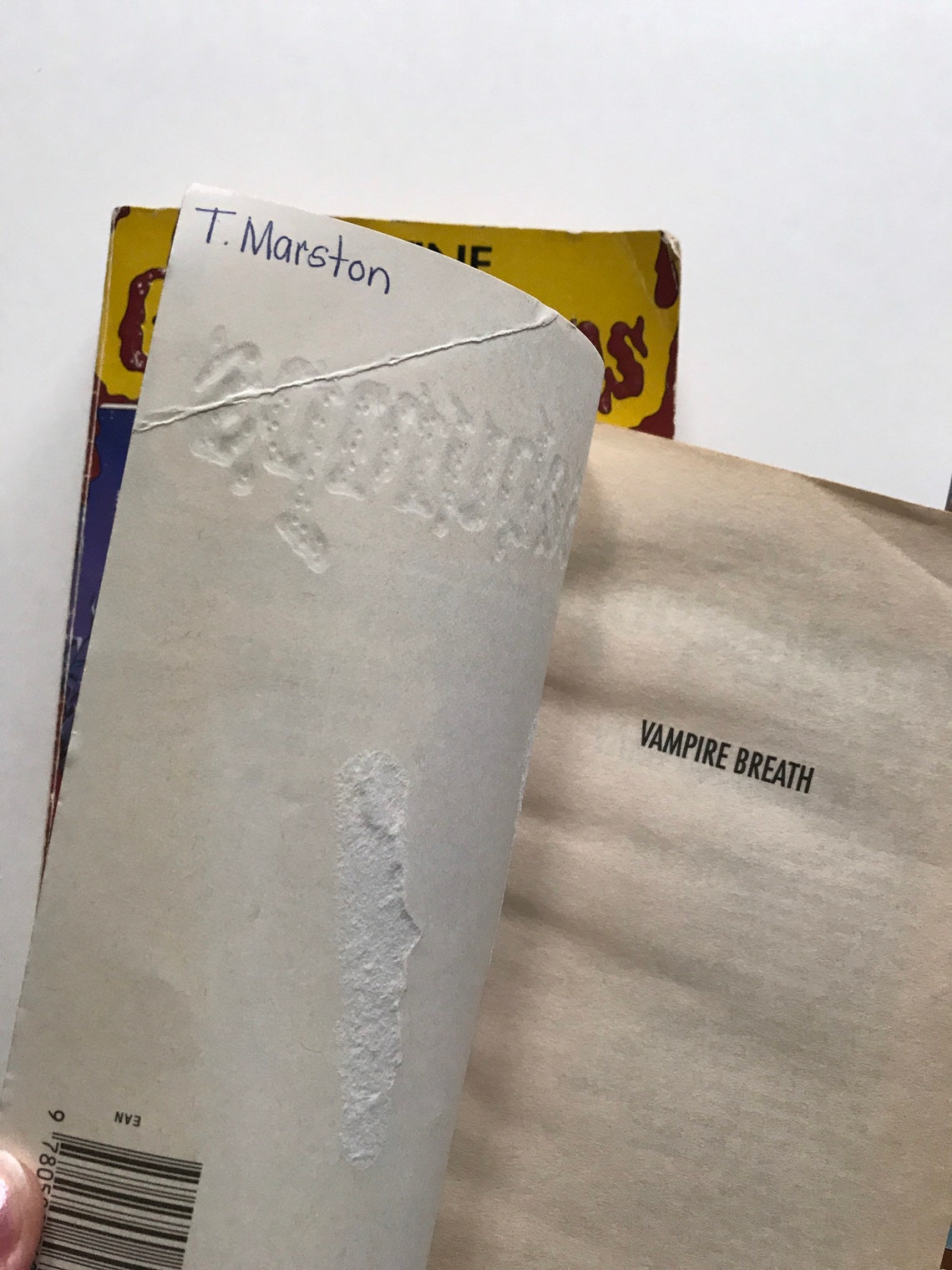 Goosebumps LOT Paperback Book by RL Stine for Kids Teens Young - Etsy